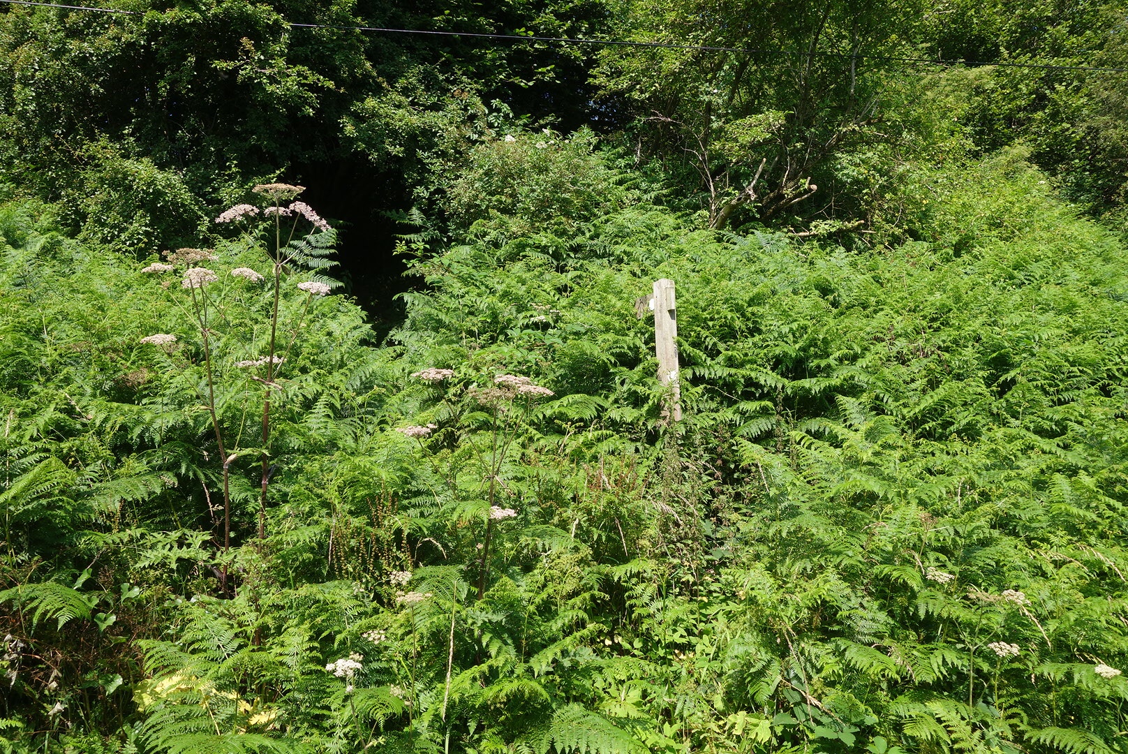 The Mortimer Trail (sort of) Day 3 – Home From Home